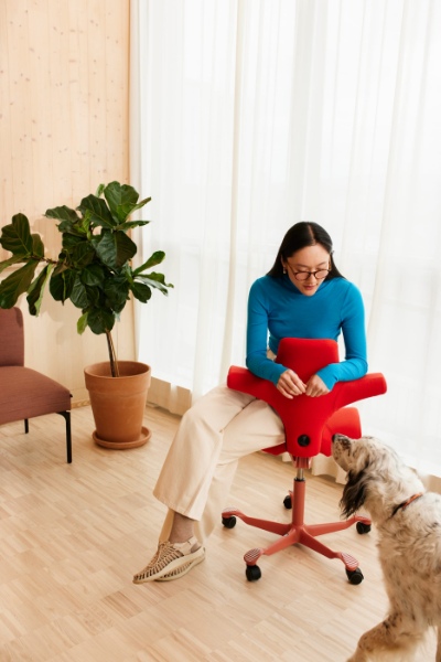 DSE Assessments - Posture Chairs
