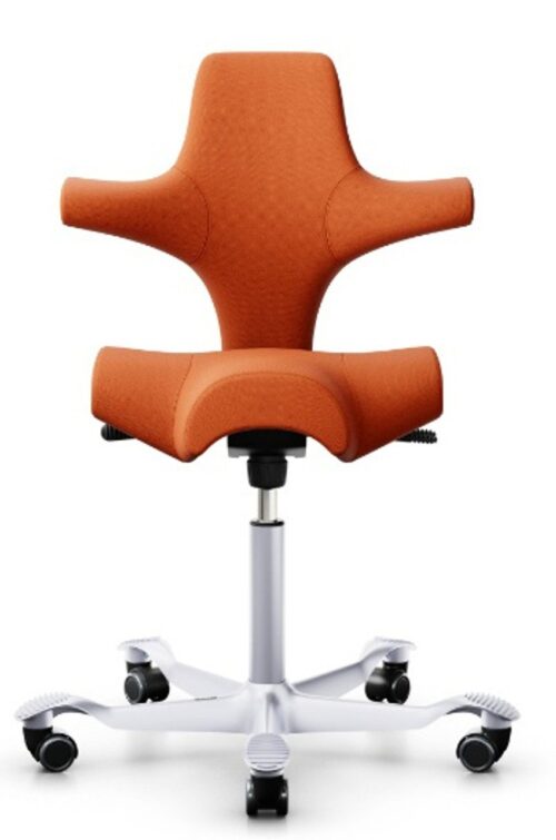 Best Ergonomic Chairs in 2023 For Back Pain - Posture Chairs