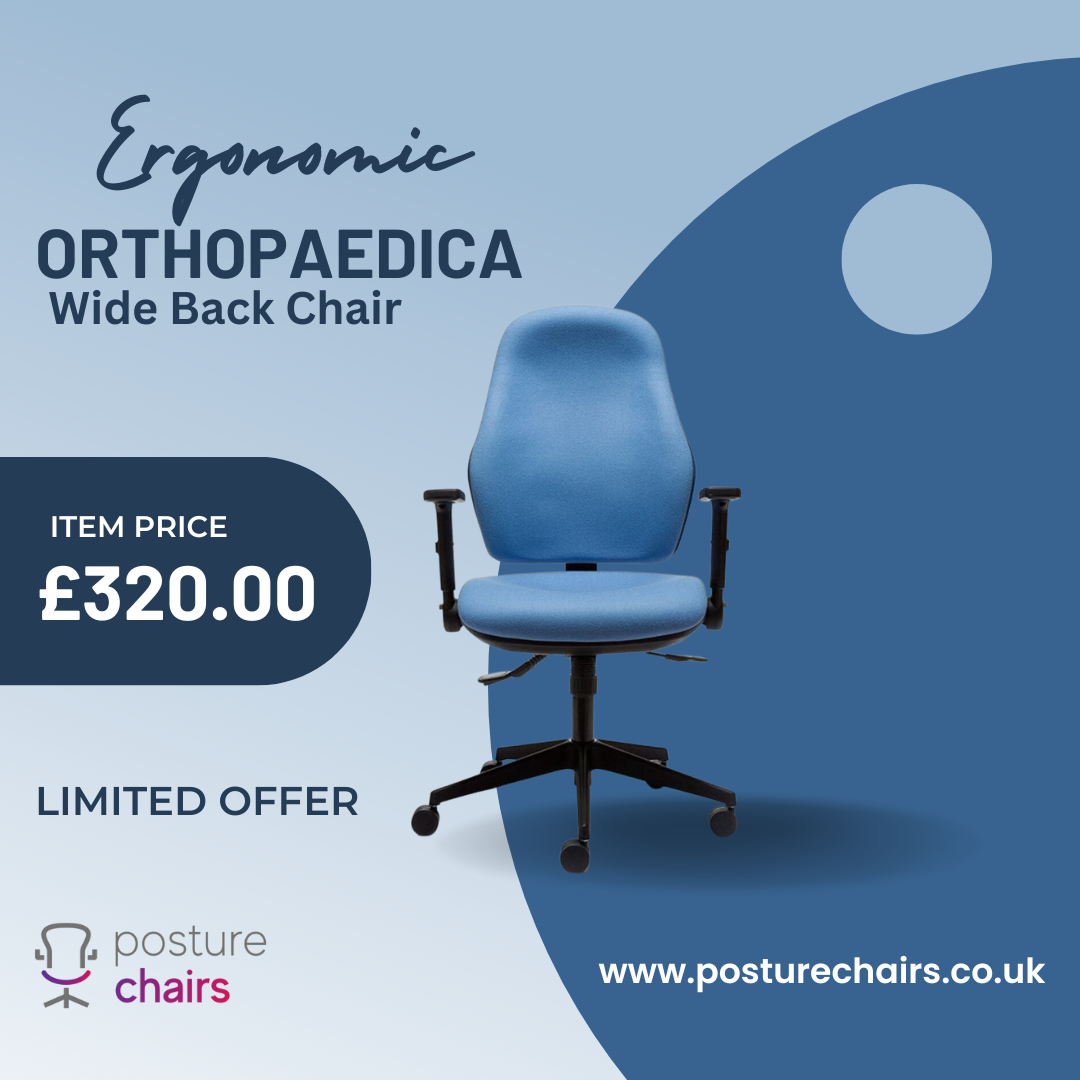 Ergonomic Solutions: Dse Assessment - Posture Chairs